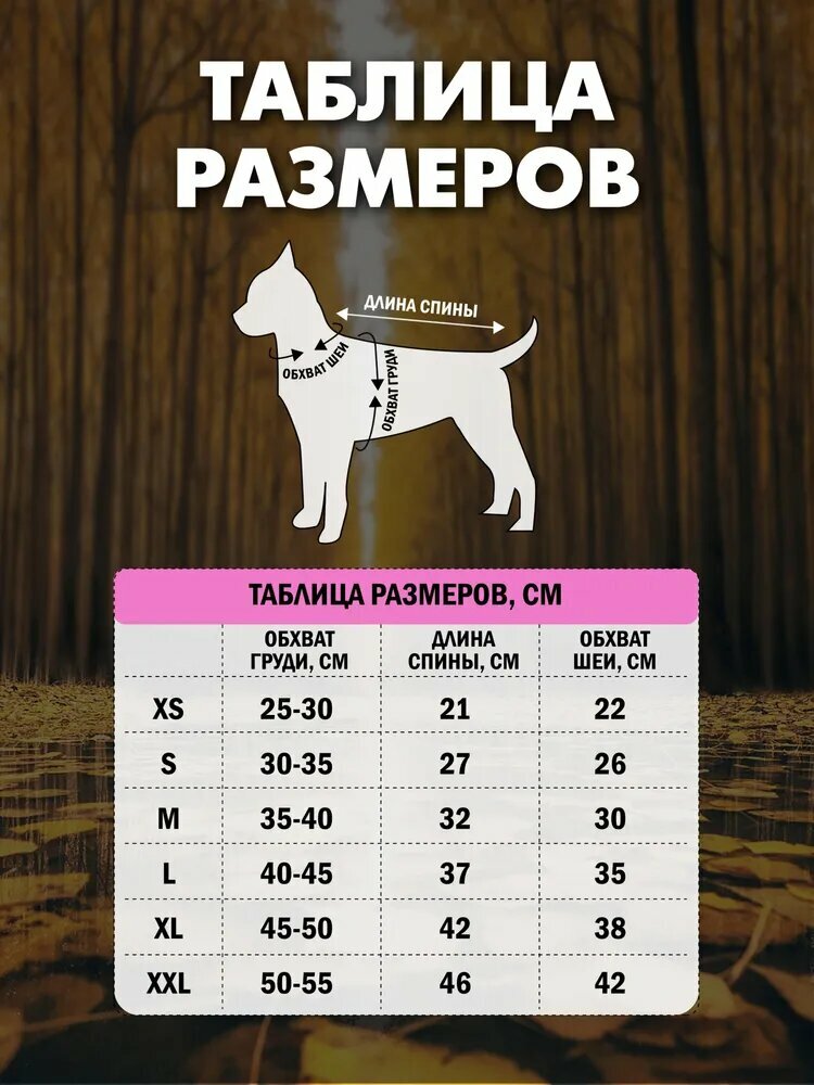 Одежда для животных — фото 1