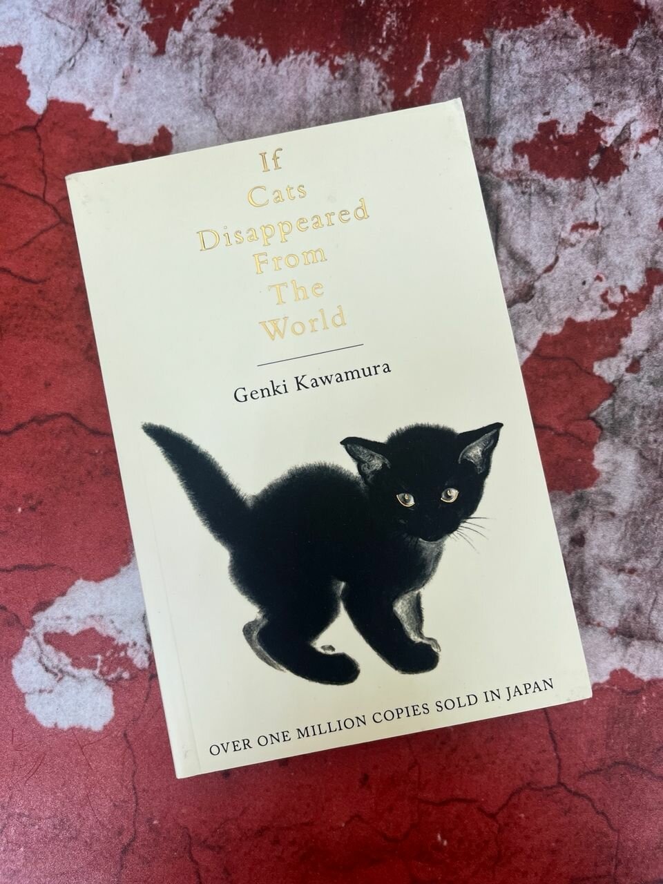 If cats disappeared from the world Genki Kawamura