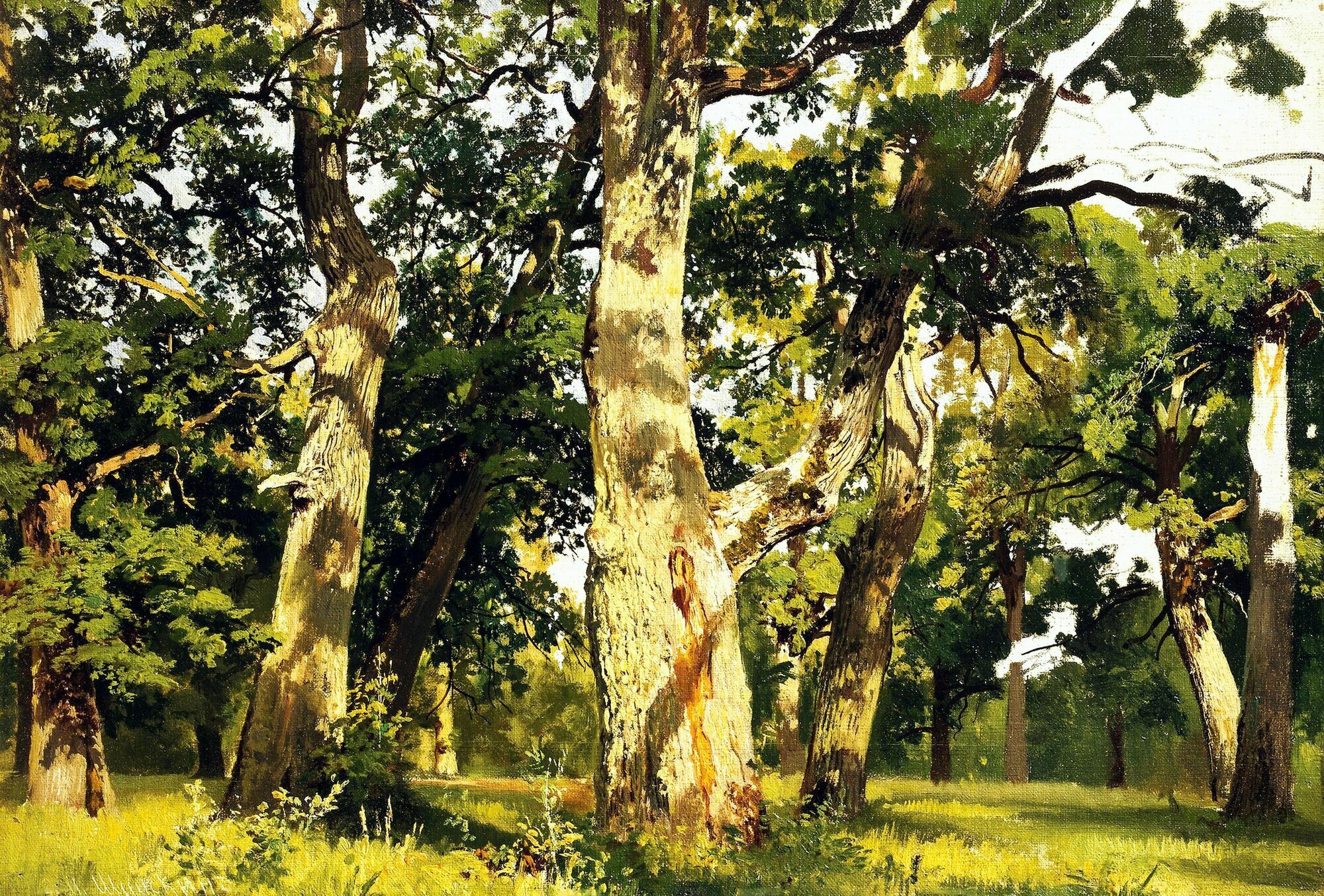 Картина Ивана Шишкина Дубы. Вечер 80х54 см