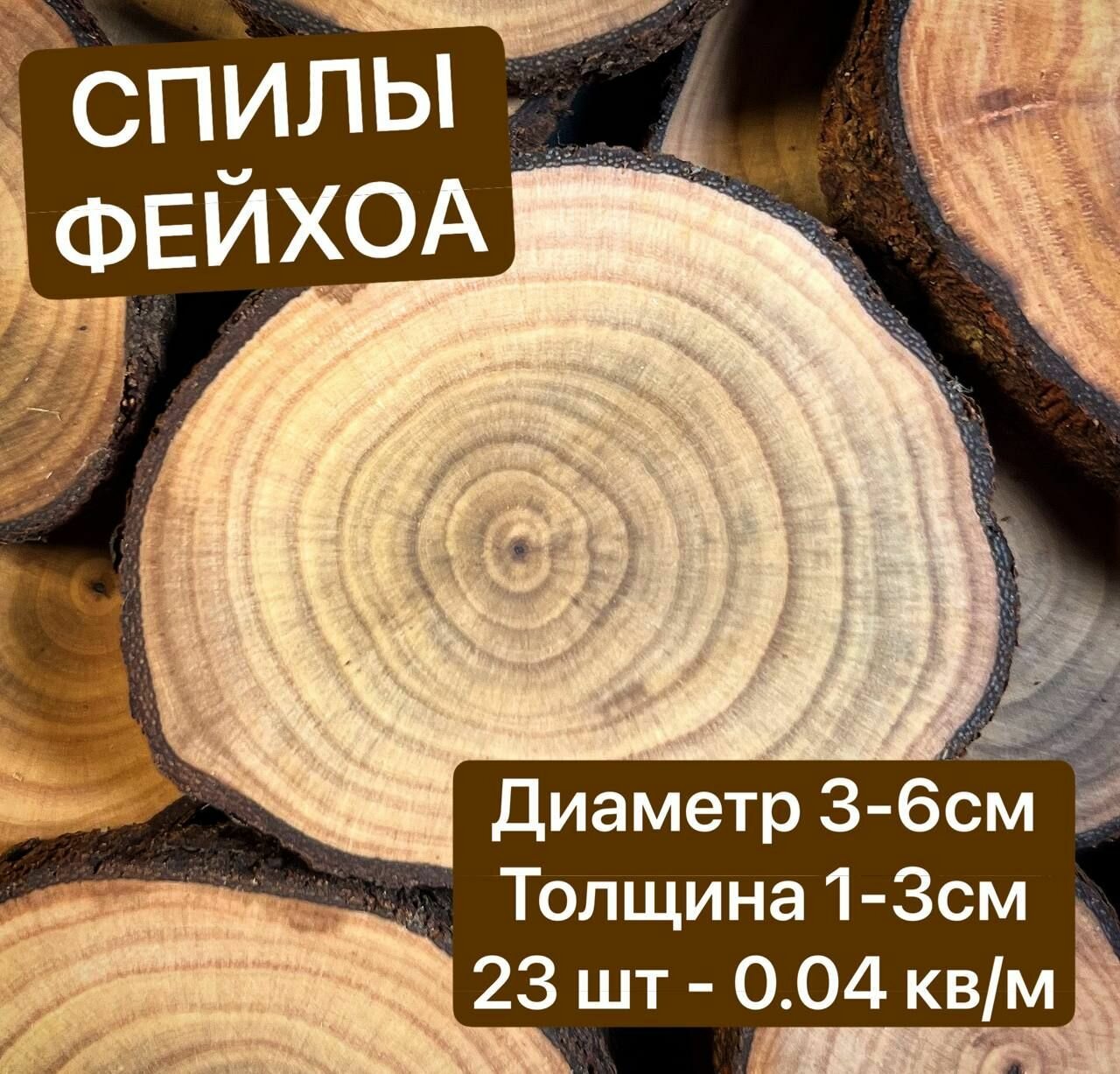 Спилы дерева Фейхоа, диаметр 3-6 см, толщина 1-3 см, 23шт