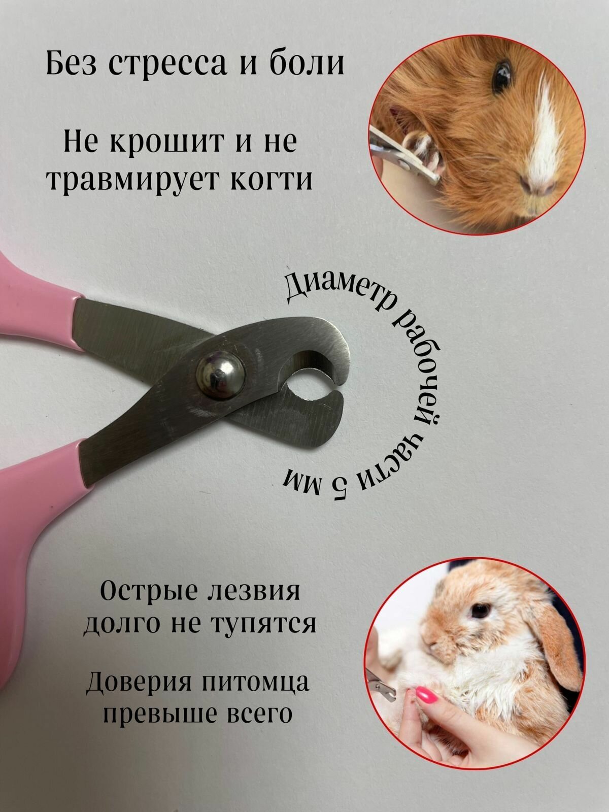 Когтерез для кошек и собак мелких пород и грызунов - ножницы для когтей