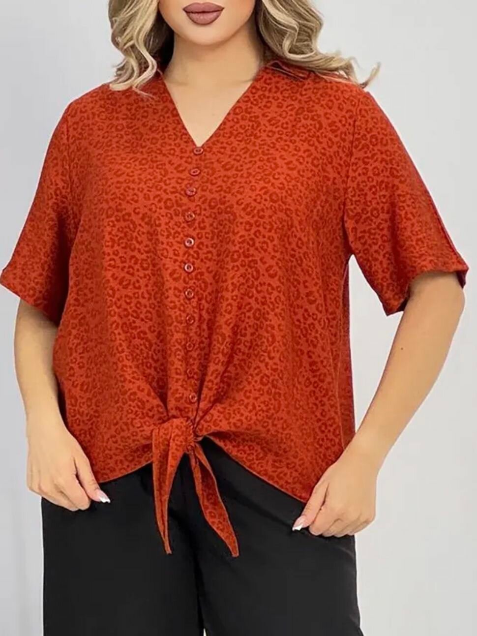 Блуза Базовая коллекция