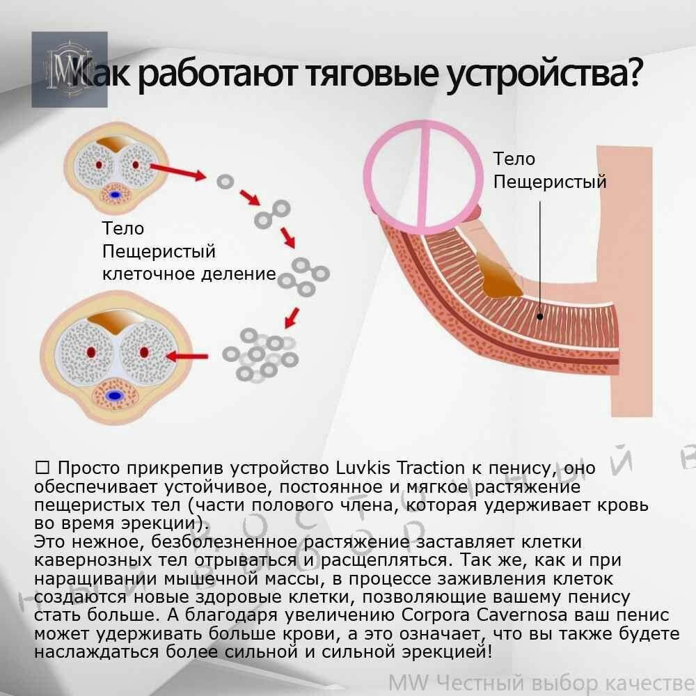 Комплект для увеличения пениса