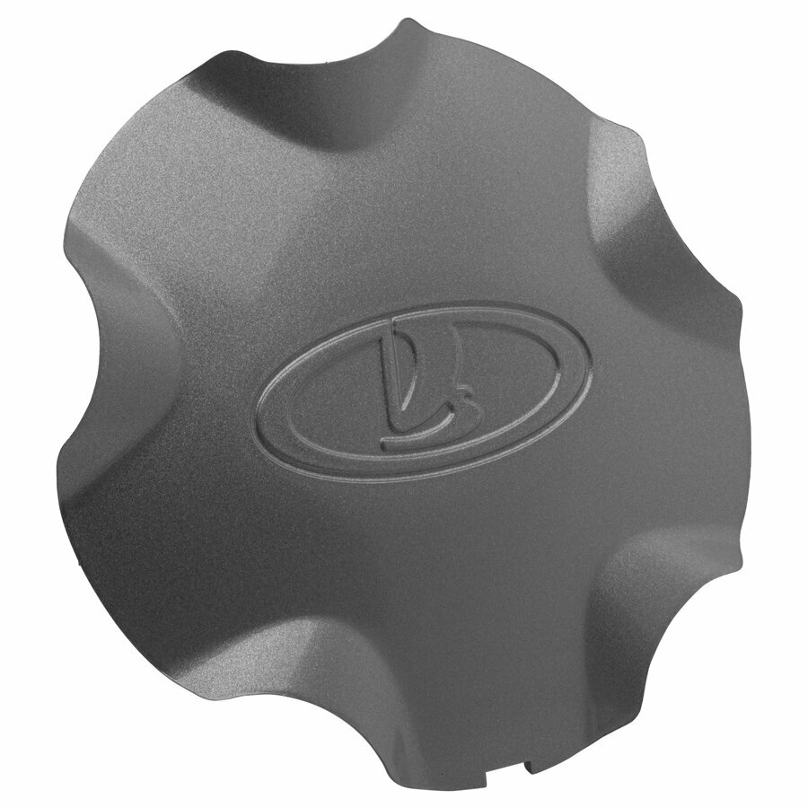 Колпак ступицы 2192-10 серебристый (на литые диски R14 "10 лучей") (артикул 21920-3101014-10)