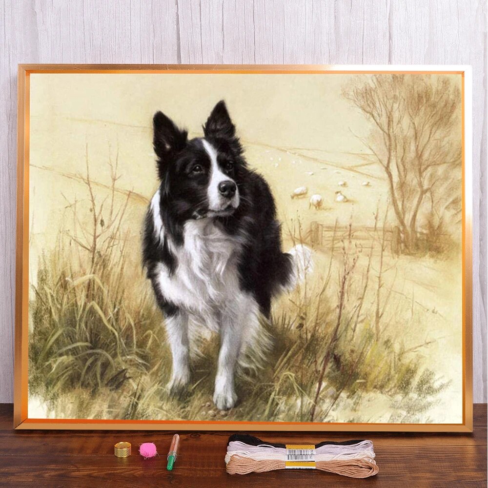 Набор для вышивки крестиком Border Collie, цвет HMA47243