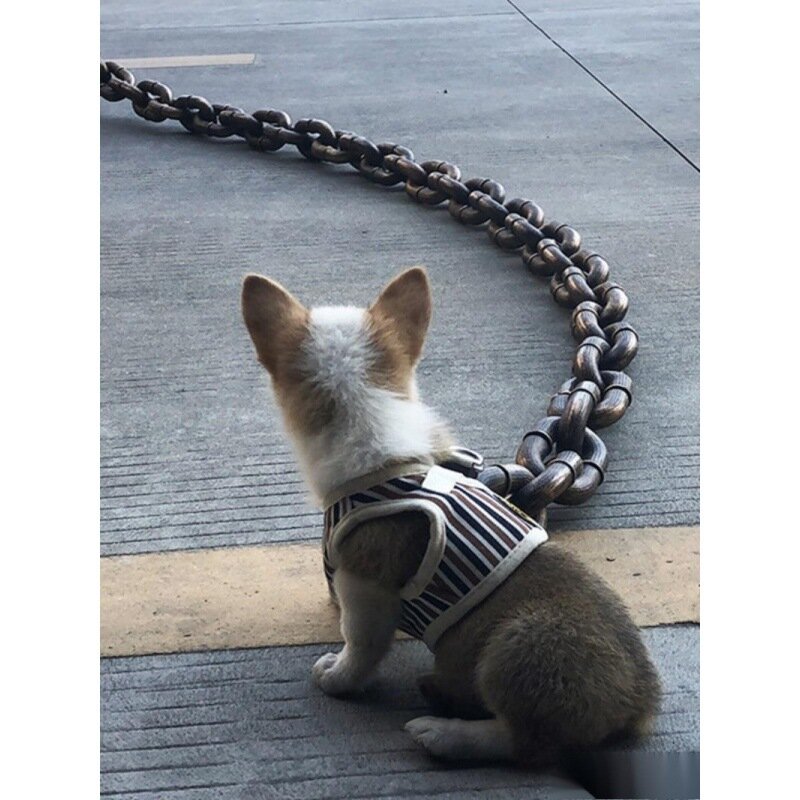 Товары для домашних животных 1.5m Древняя серебряная тонкая железная цепочка (только цепочка без воротника с крючком)