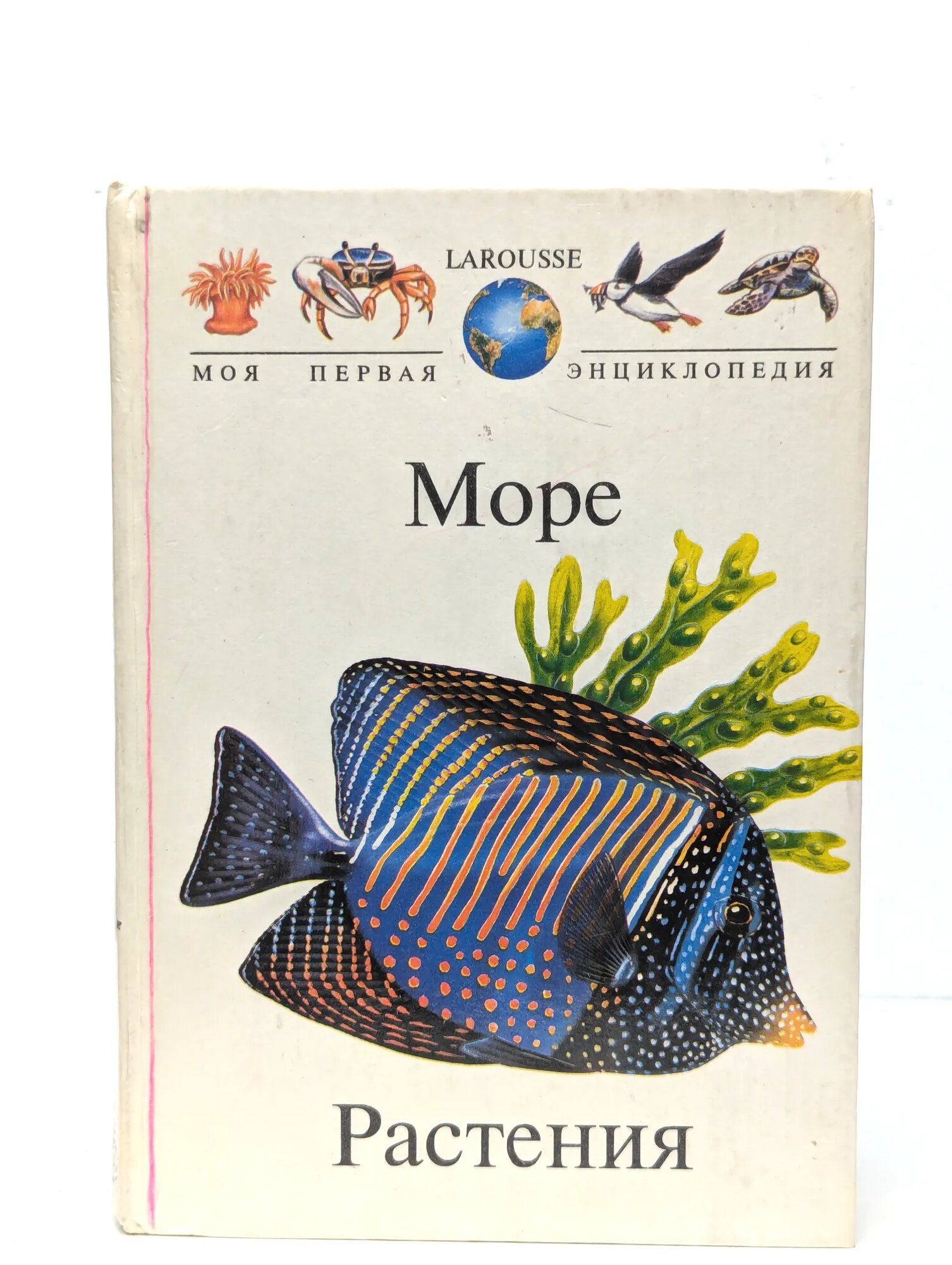 Моя первая энциклопедия. Море. Растения 1995