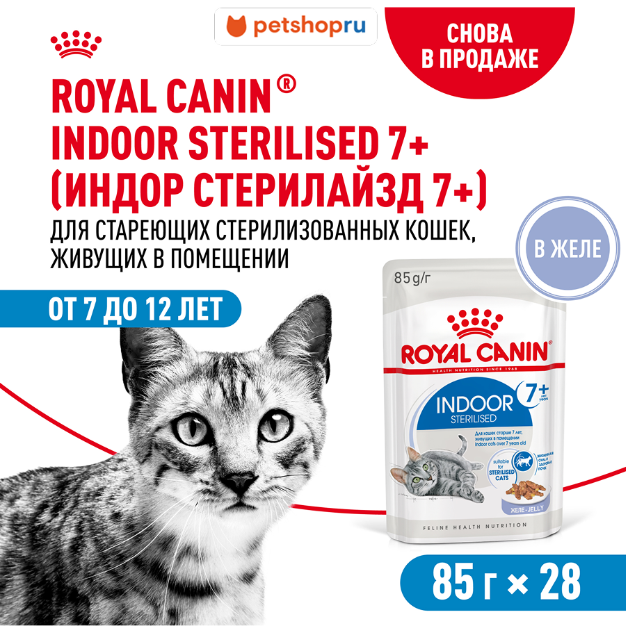 Royal Canin Влажный корм для кошек, Кусочки в желе для домашних кошек, Neutered Maintenance felinne, 28 шт 85 г