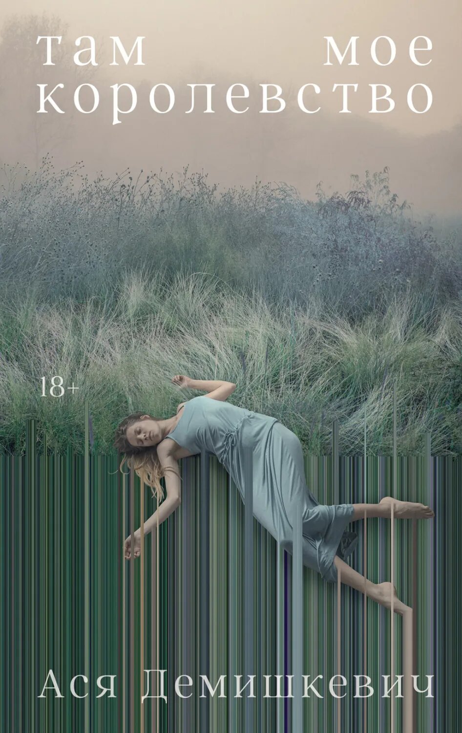 Там мое королевство [Цифровая книга]