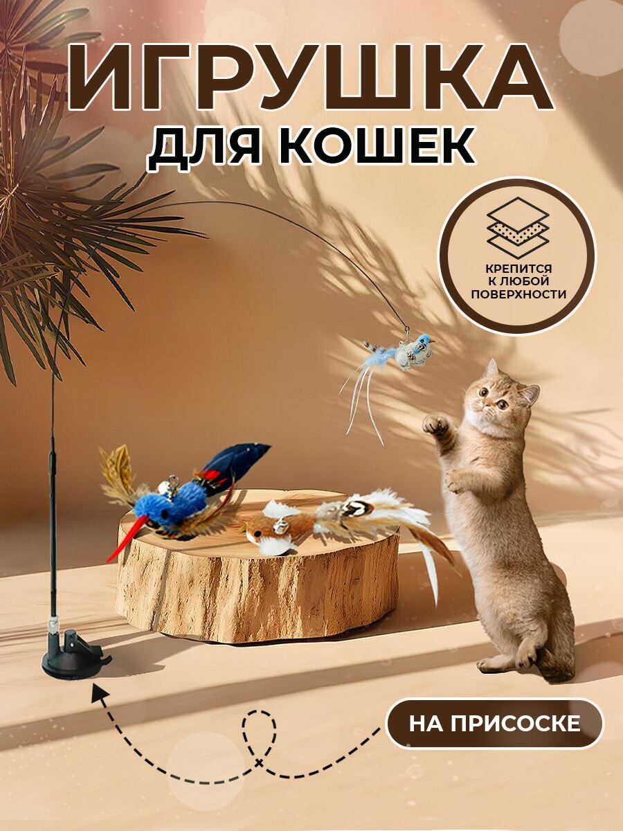 Игрушка для кошек интерактивная, удочка дразнилка на присоске / зоотовары для котят и кошек