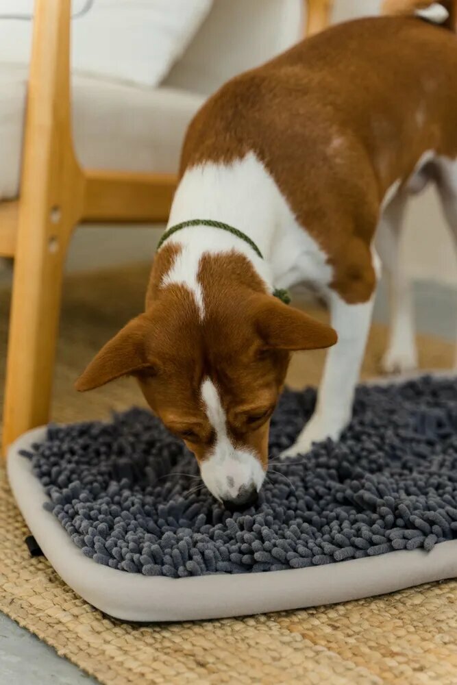 Развивающий нюхательный коврик для собак на присосках и с противоскользящим основанием