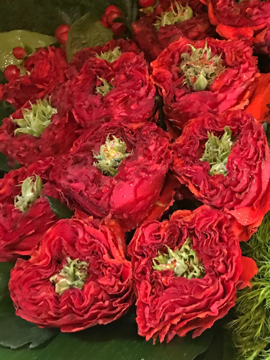 Роза чайно-гибридная Ред Ай (Red Ai) , 1 саж, розы, многолетняя