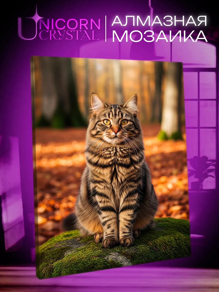 Алмазная мозаика Кот