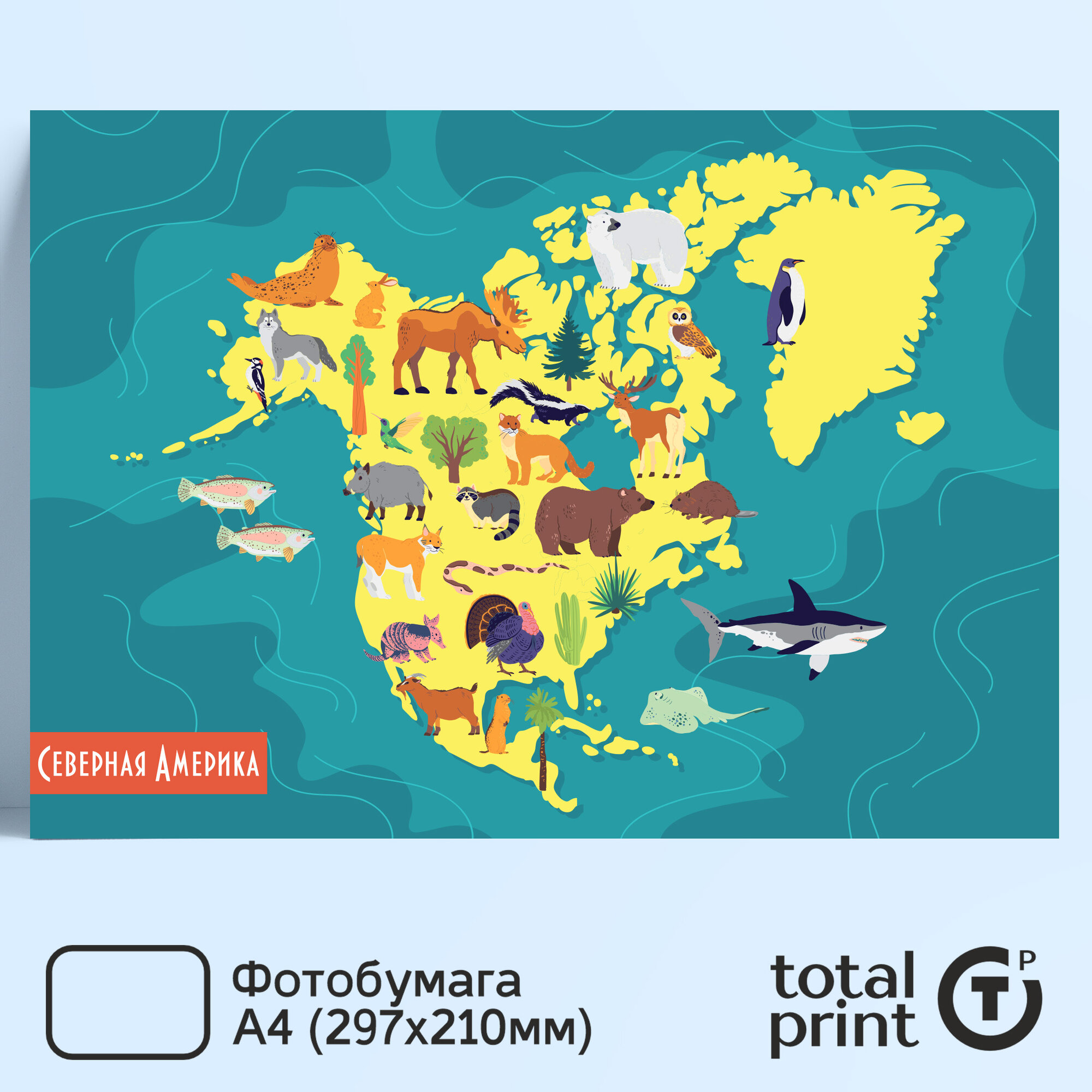 Постер на стену Карта животного мира, Северная Америка, А4(297х210мм), TotalPrint