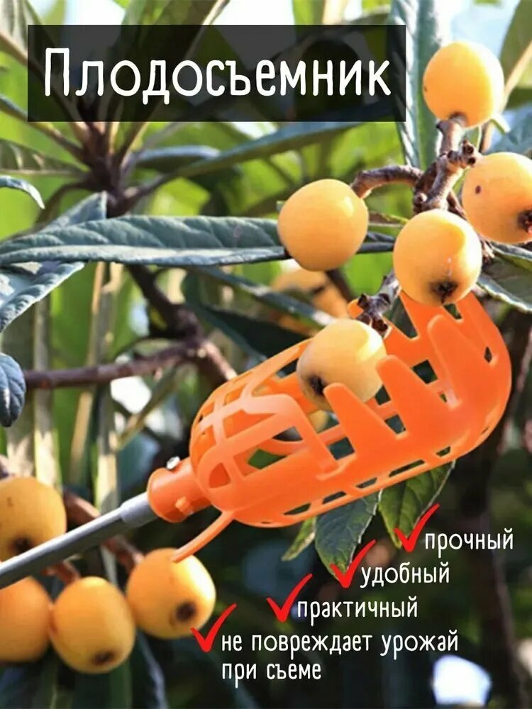 Плодосборник,20х8х8см