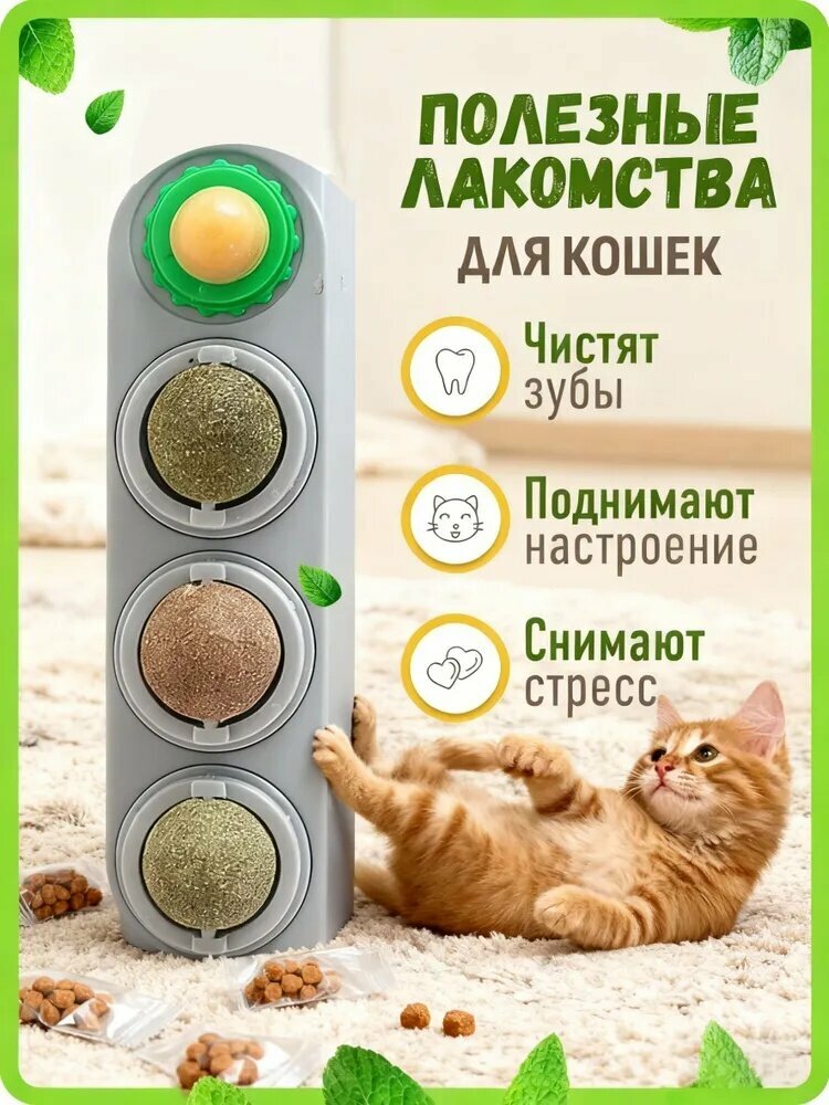 Игрушки для кошек, кошачья мята, леденец для кошек, шарик на стену