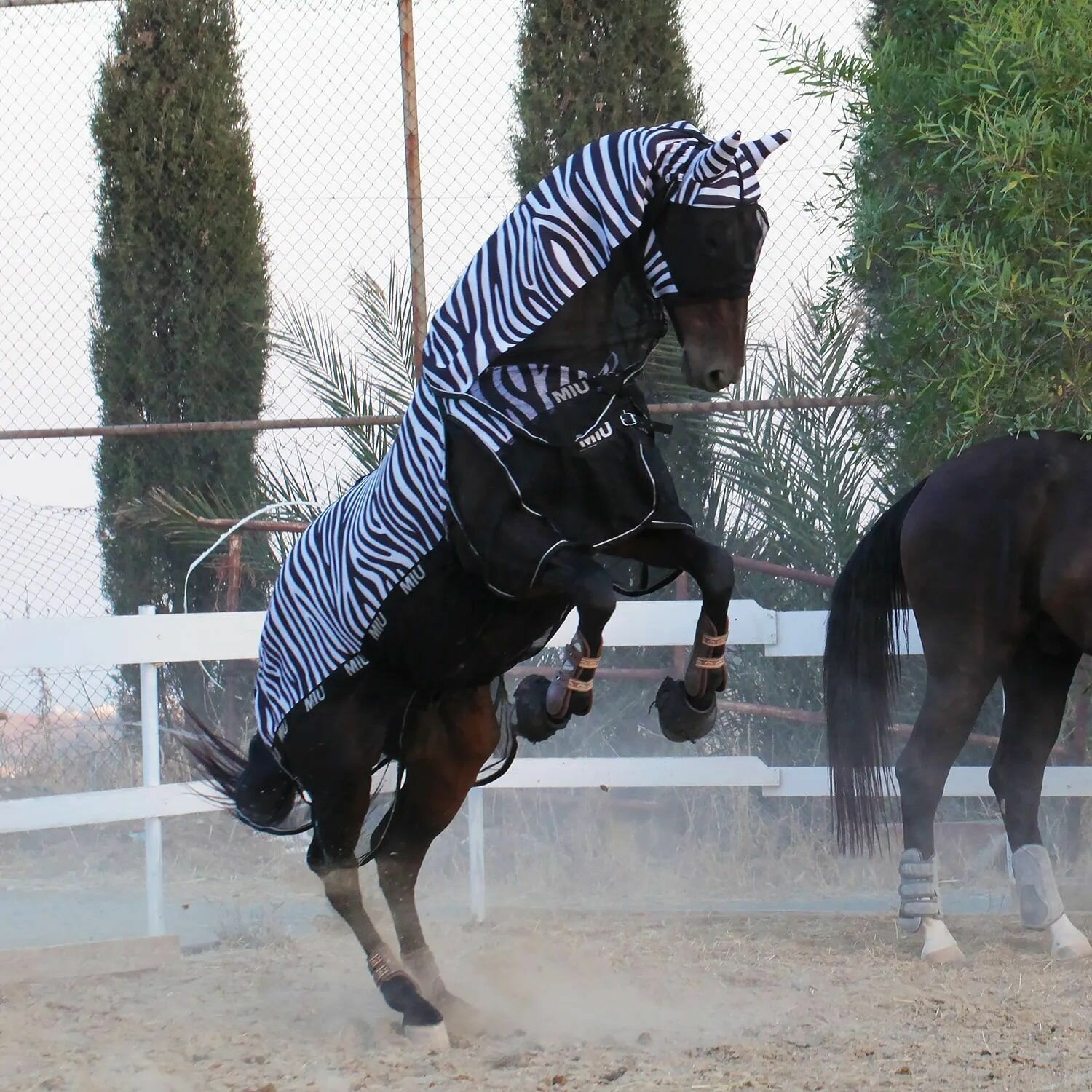 Попона для пони антимоскитная Air Max Welsh со съёмным капором зебра (размер 110)