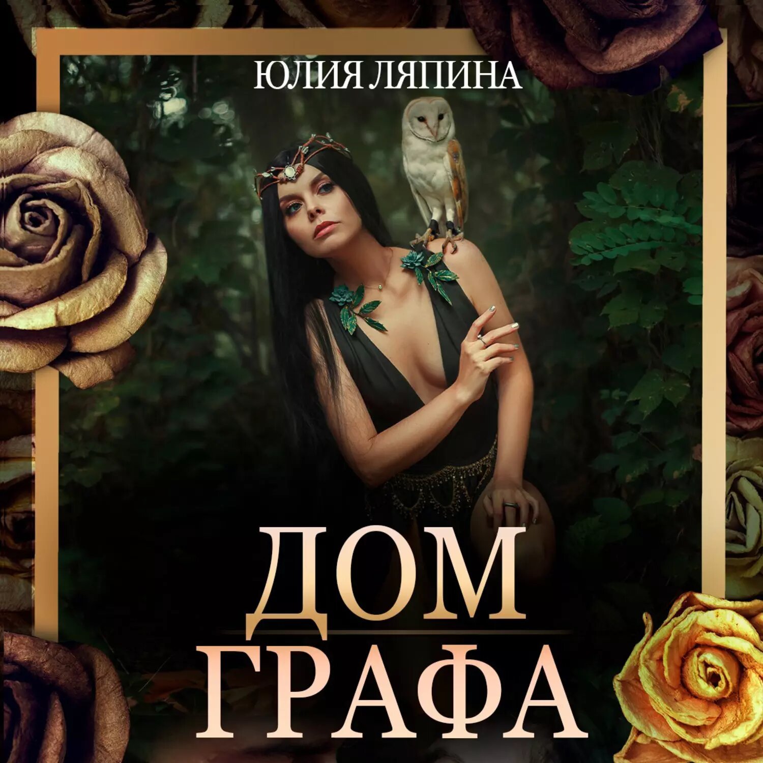 Дом Графа [Аудиокнига]