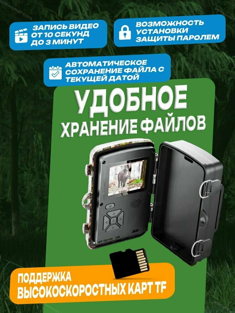 Фотоловушка — фото 1