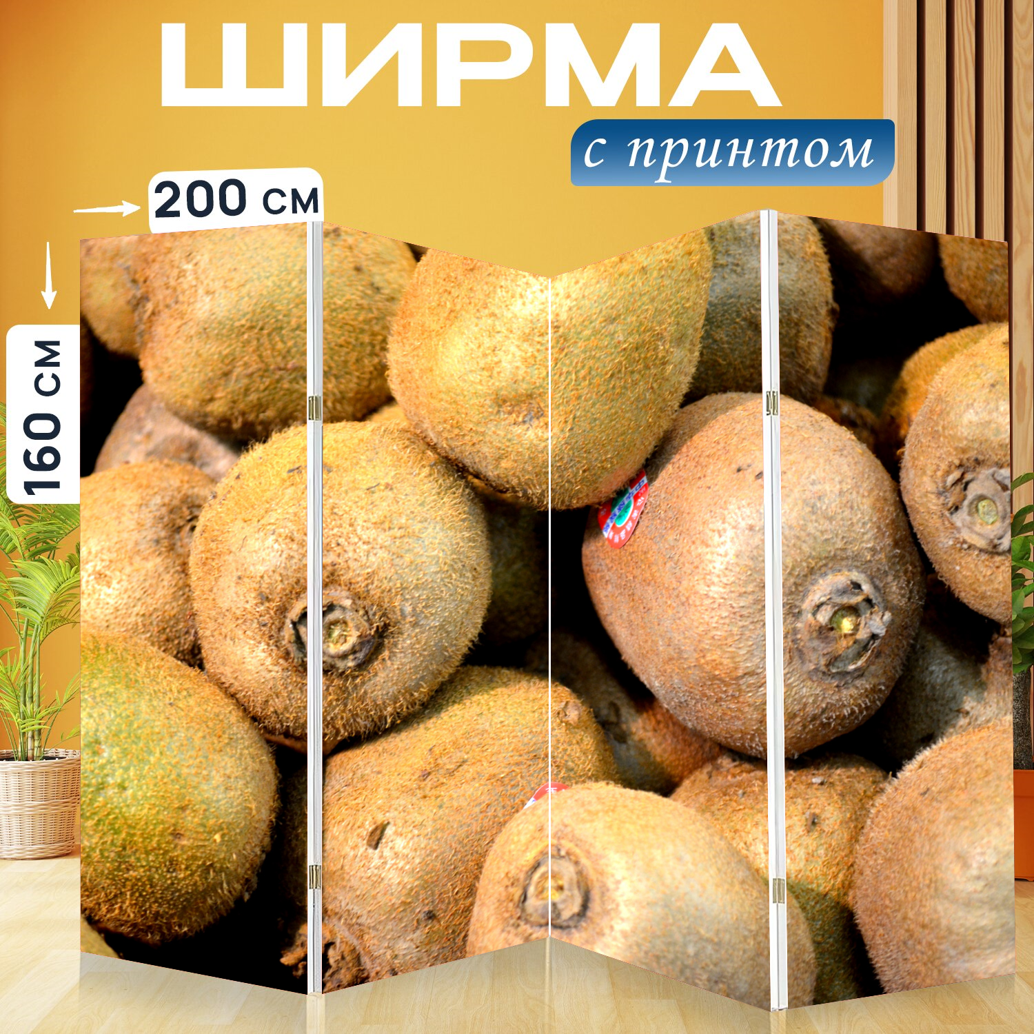 Ширма "Киви Дисплей киви киви фрукты дисплей крыжовник нечеткие актинидия" перегородка для зонирования комнаты с принтом 200x160 см. на холсте