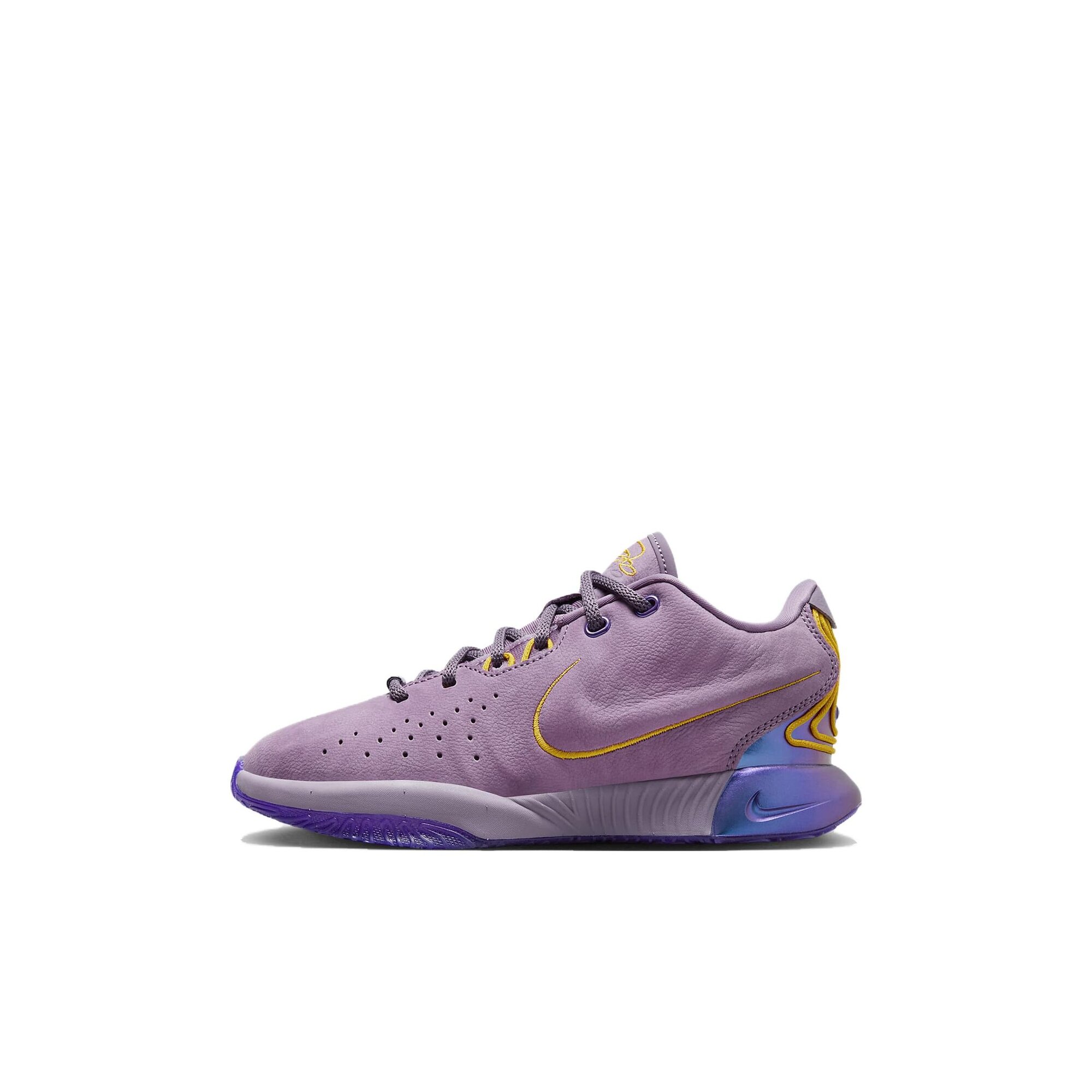 Кеды NIKE Lebron 21