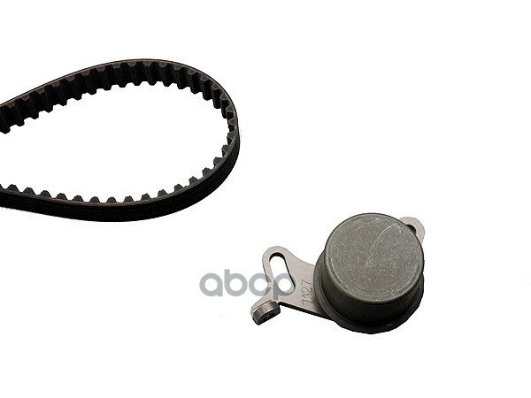 Комплект ремня ГРМ Ina арт. 530000610