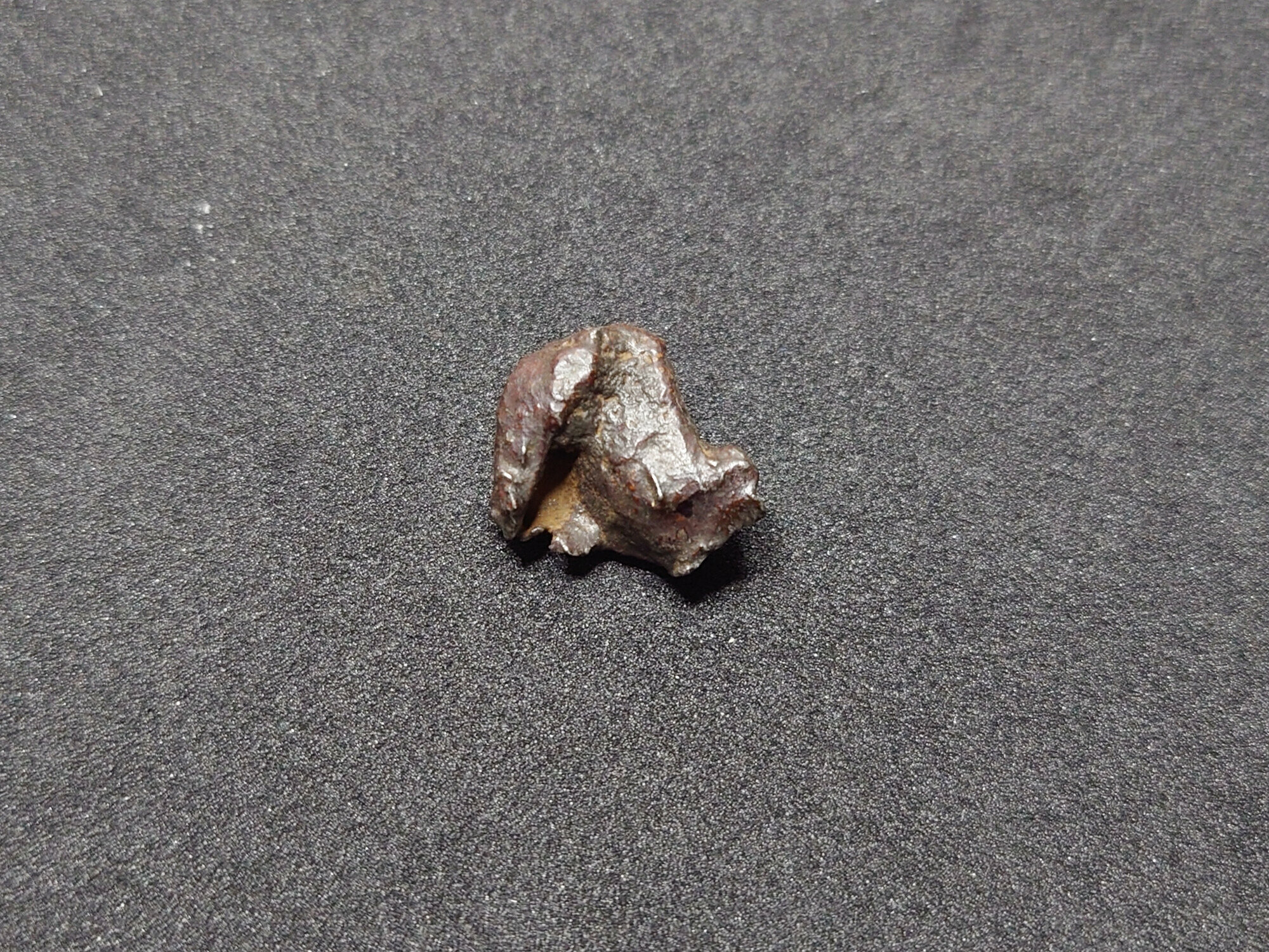 Сихотэ-Алинский метеорит [4.1 гр.]