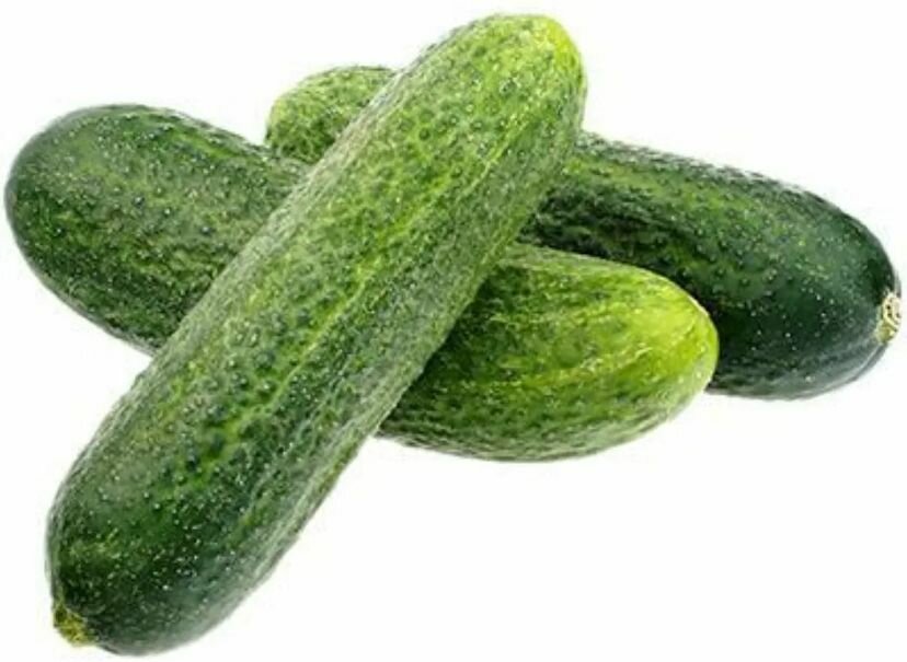 Огурцы луховицкие