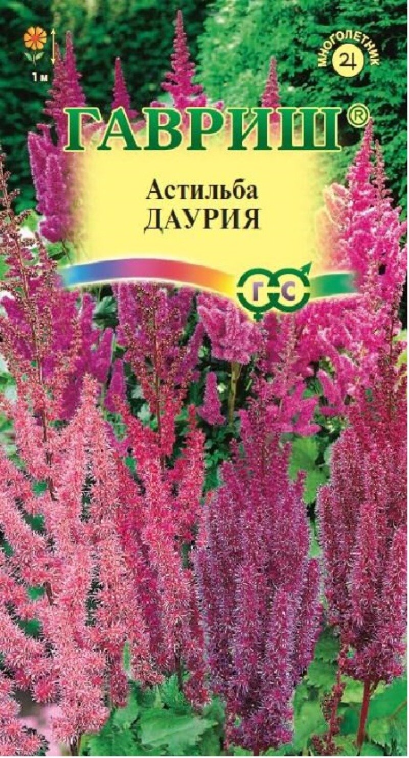 Семена Астильба китайская Даурия смесь (0,05 г), Агрофирма Гавриш