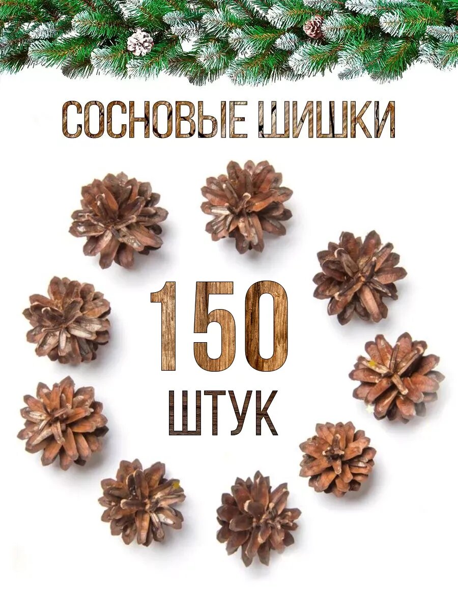 Хвойные сосновые шишки для поделок набор 150 штук