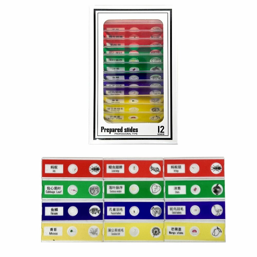 Набор микропрепаратов для микроскопа Смешанный комплект, 1 штука