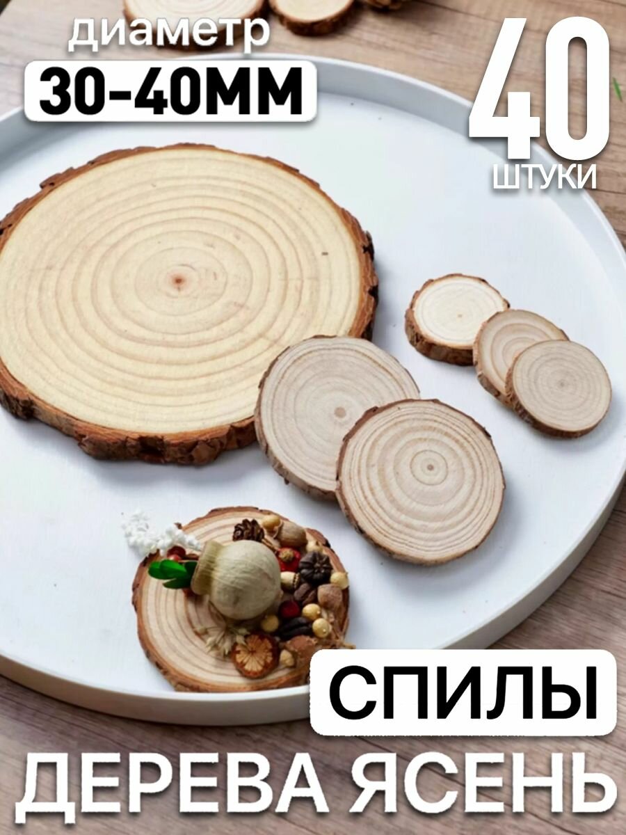 40 штук, сруб дерева для поделок, спилы дерева для творчества