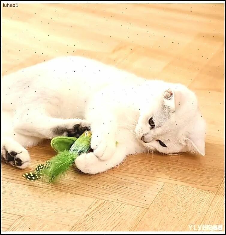 Игрушка для кошек летающая птица на резинке, на которой висит забавная кошачья палочка