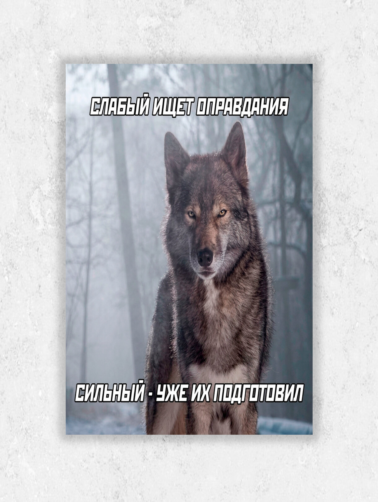 Плакат-мем "Слабый и сильный"