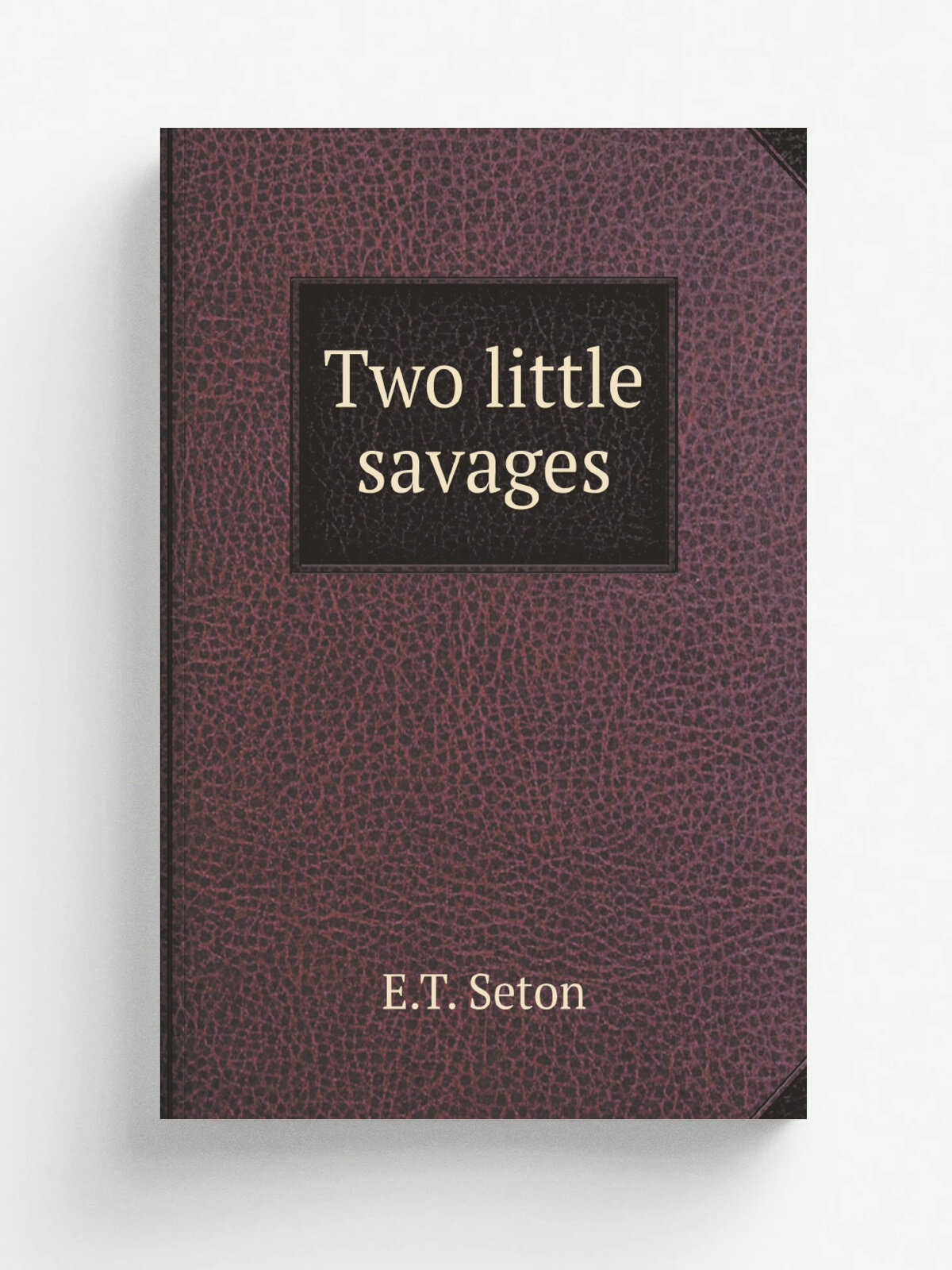 Two little savages. Being the adventures of two boys who lived as Indians and what they learned