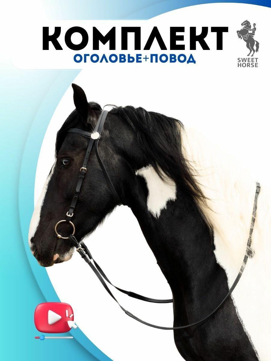 Sweethorse / Комплект оголовье + повод для лошади / Pony, черный