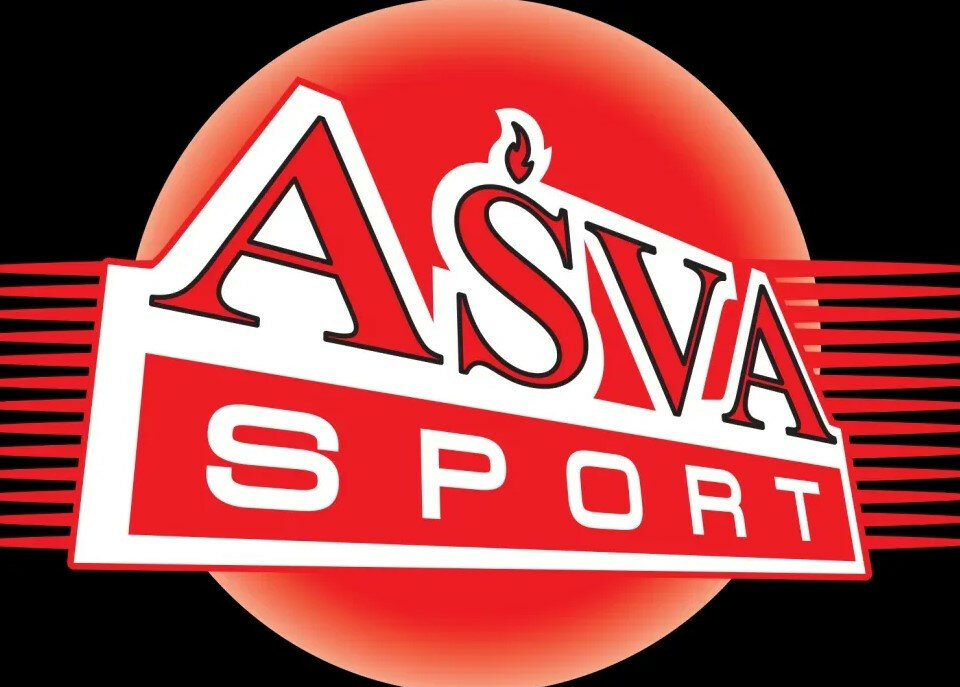 Шаровая опора нижняя левая (производитель ASVA, артикул 0120GYL15L)