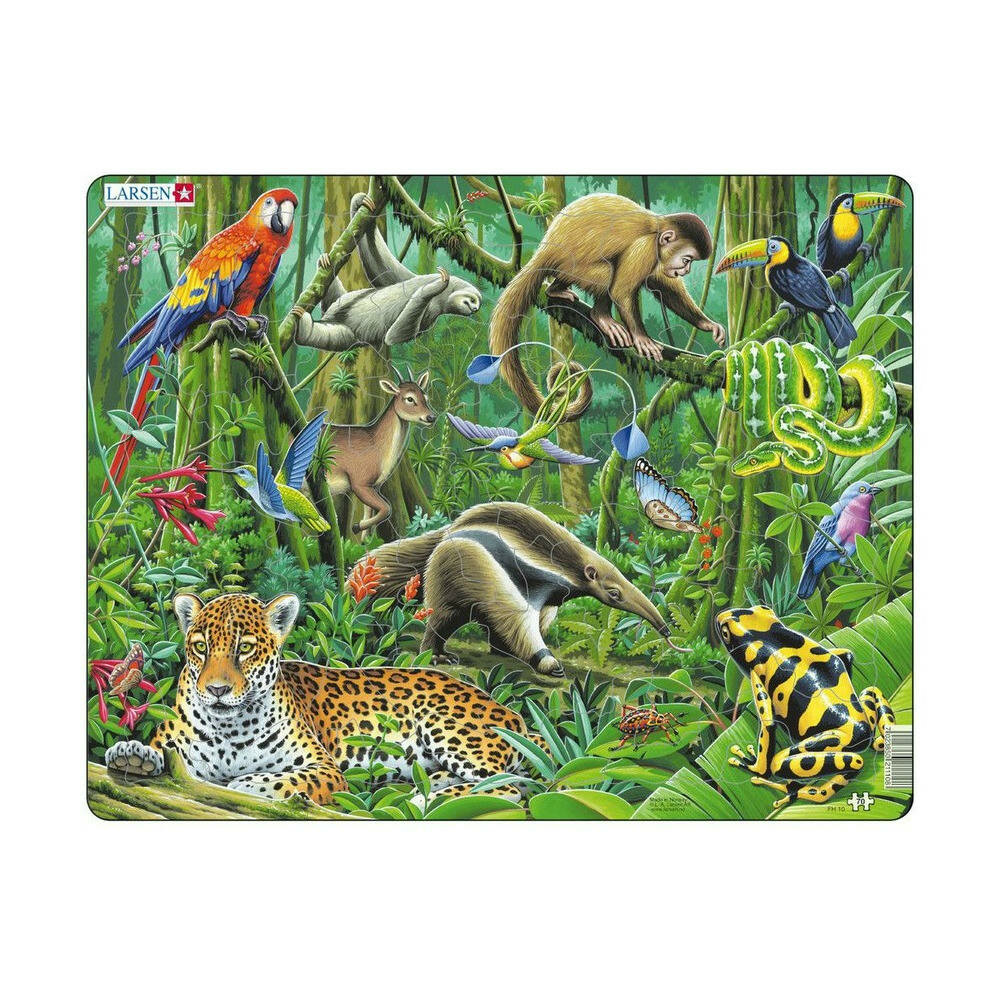 Larsen FH10 - Южно-Американские тропики