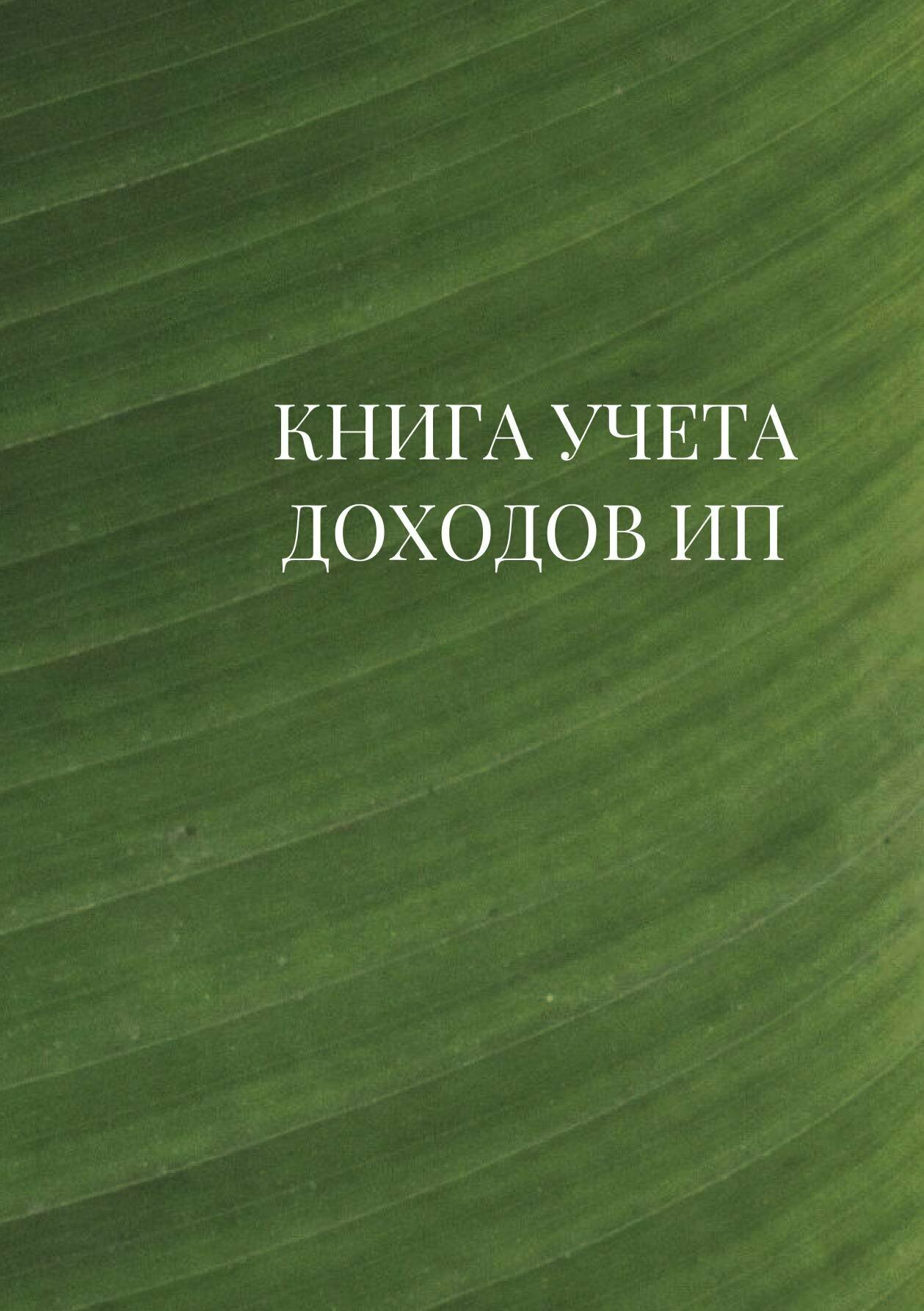 Книга учета доходов для ИП на патенте