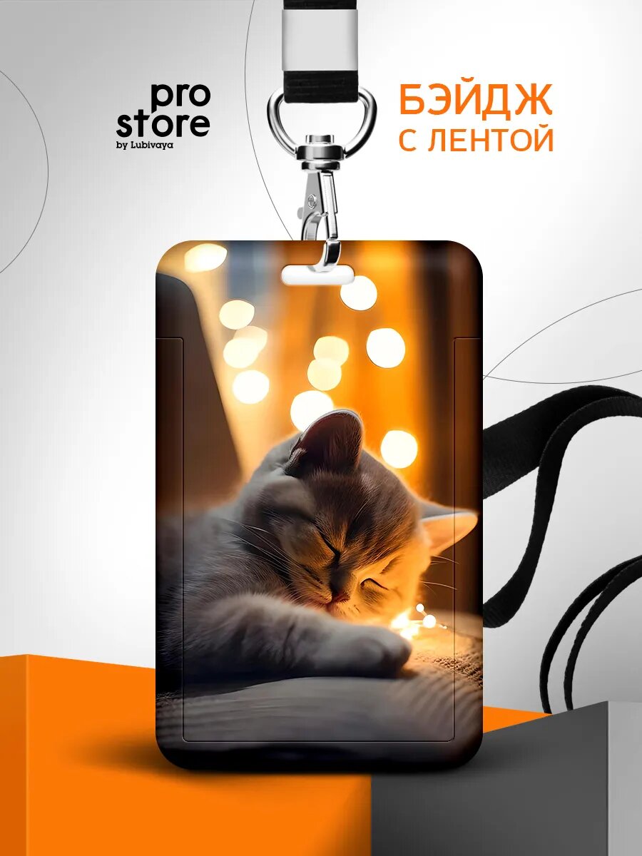 Бейдж для пропуска, с лентой, с рисунком, для школьника, пластиковый