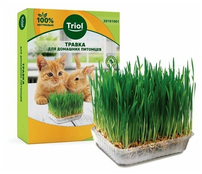 Травка для животных, 120 г