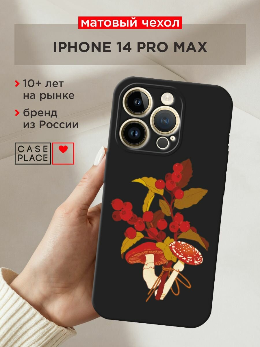 Чехол на Apple iPhone 14 Pro Max / Айфон 14 Про Макс с принтом "Рябина с грибами", прозрачный