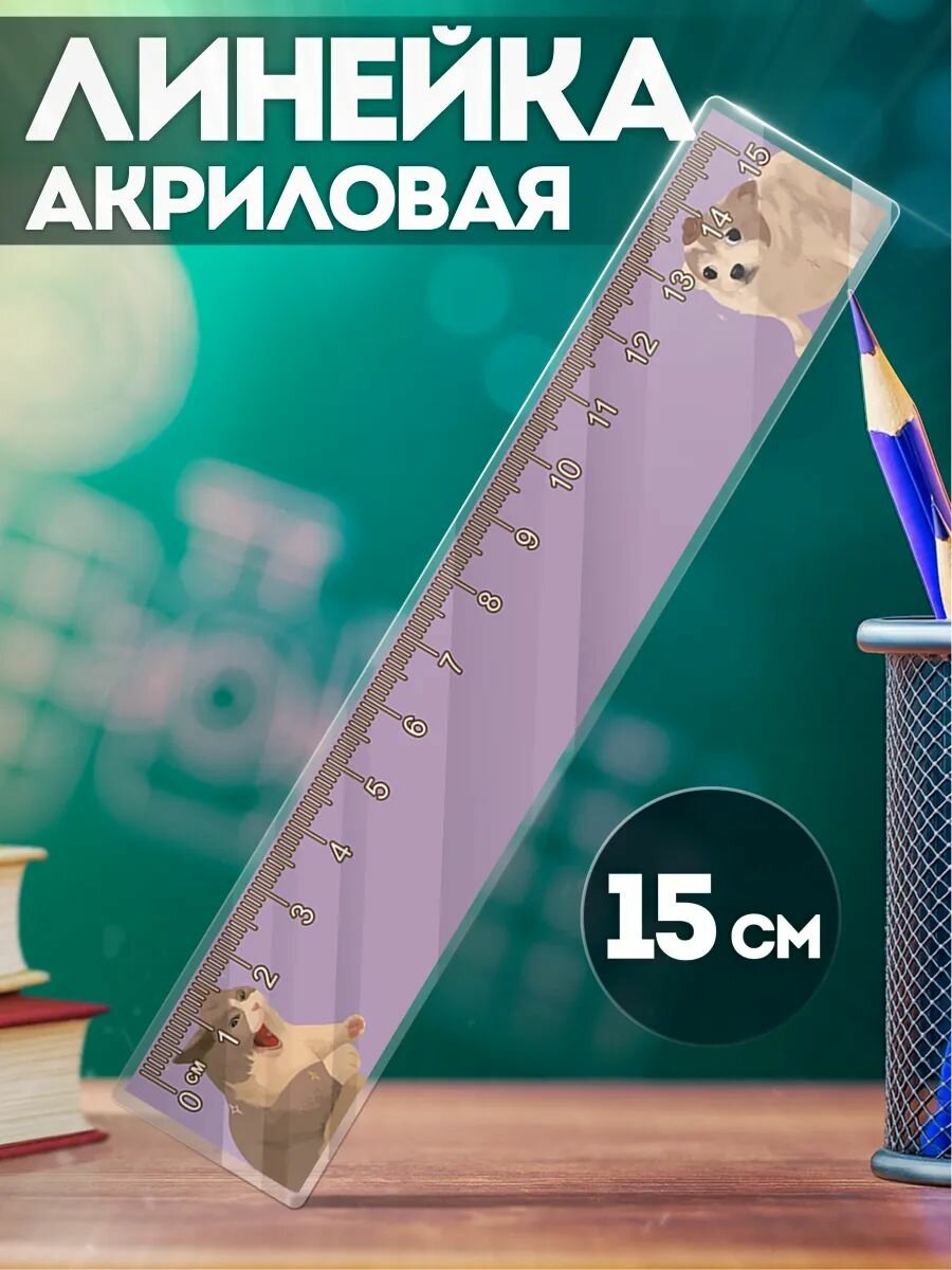 Канцелярия для школы линейка 15 см мем котики
