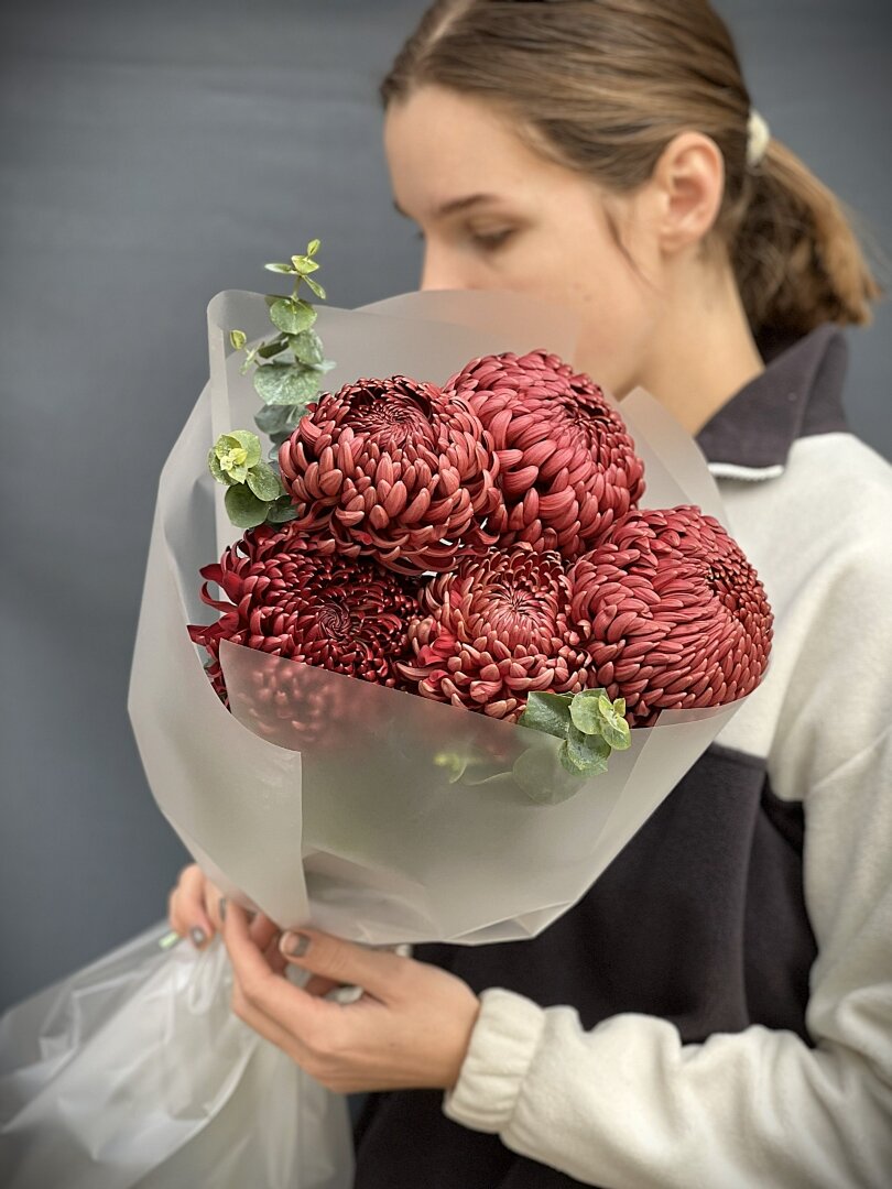 Монобукет хризантемы Бигуди кирпичного цвета с эвкалиптом, 5 шт.