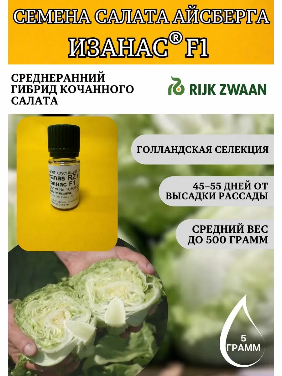 Семена салата айсберг Изанас 5 грамм Rijk Zwaan профессиональные семена
