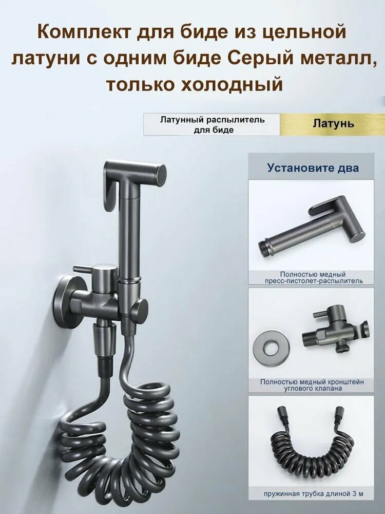 Лейка гигиеническая для биде (кран для холодной воды) RO5501GR1 лейка, 1.5 M шланг, кран Серый металл, латунь, Круглый