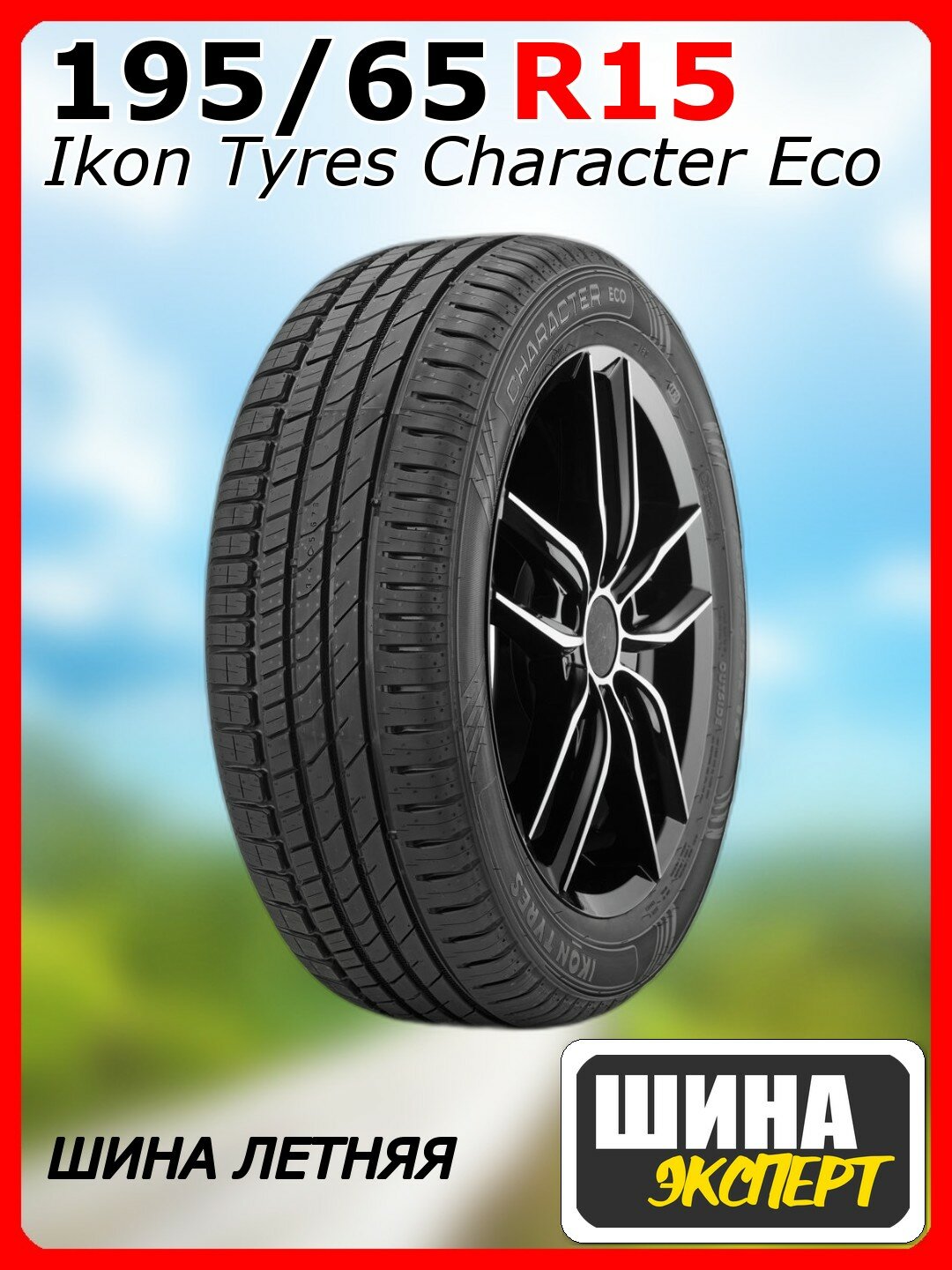 Шина летняя Ikon Tyres 195/65/15 H 91 Ikon Character Eco для легковых автомобилей T743180