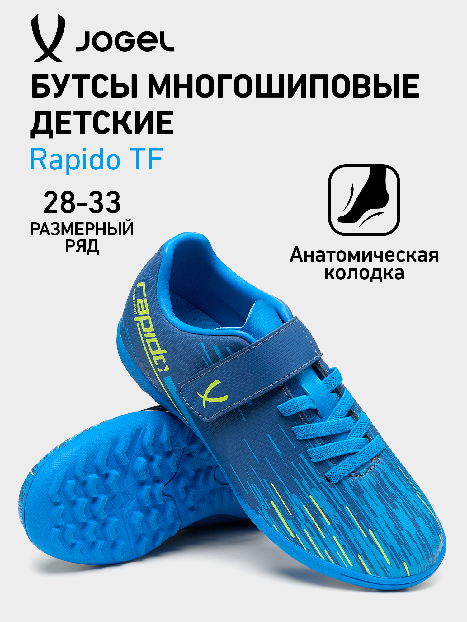 Сороконожки