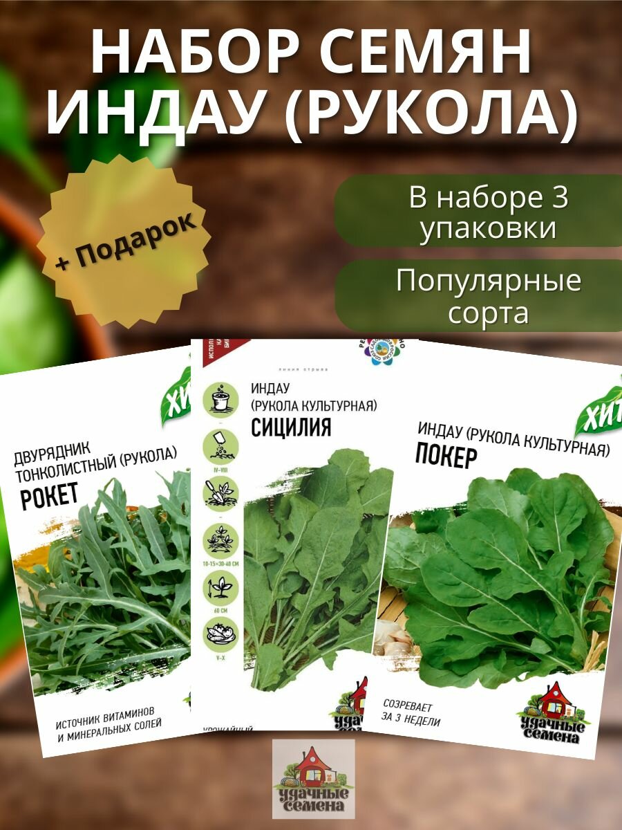 Руккола индау семена двурядник тонколистный Покер Сицилия Рокет посев для салата листовая зелень