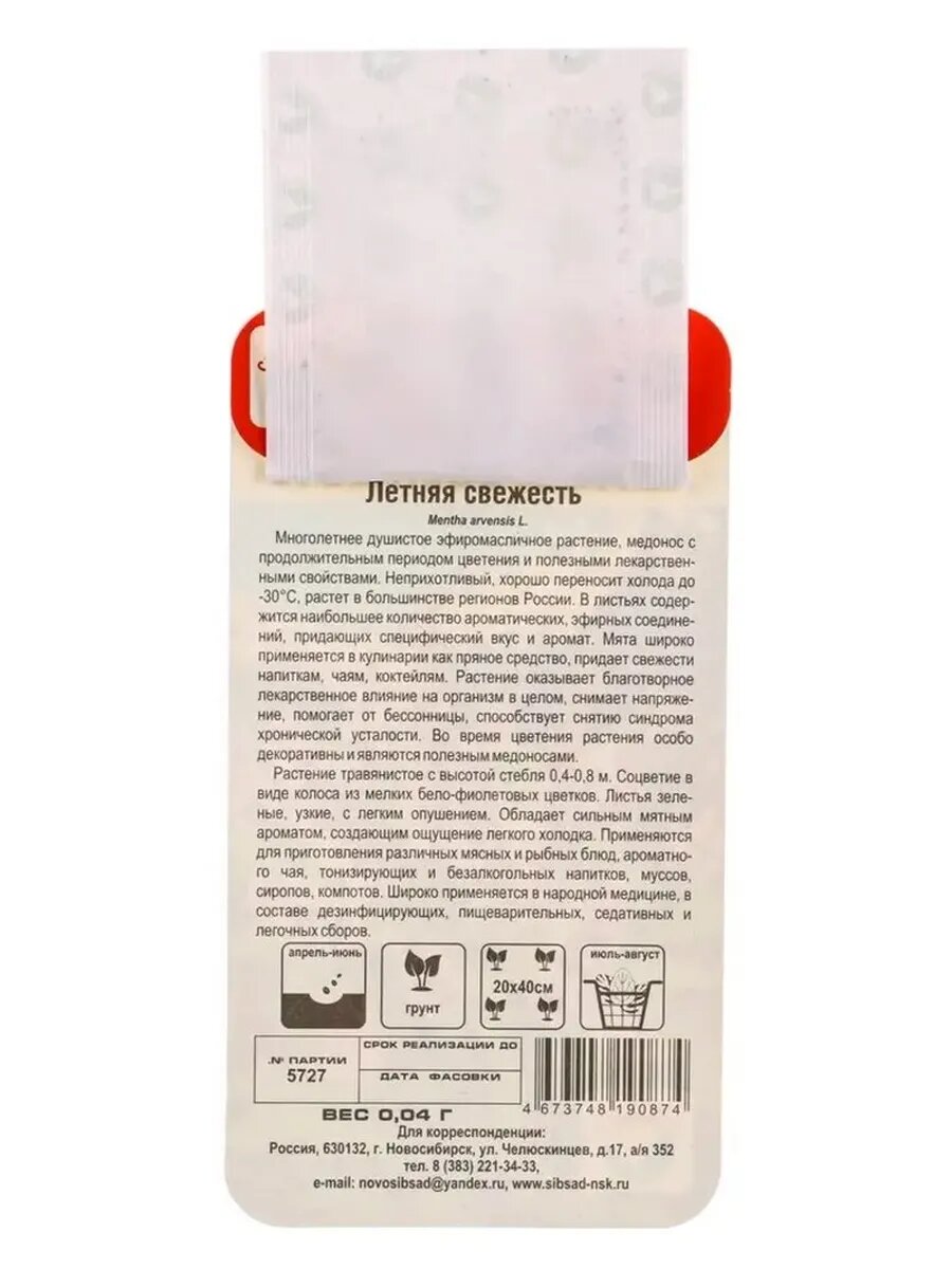 Свежая мята для вашего сада и кухни